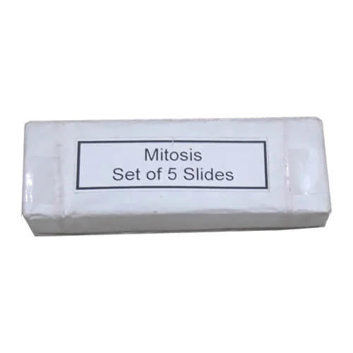 Mitosis Permanent Slide 1 Set - SRM Trading Corporation