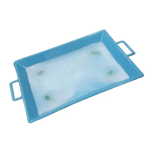 Plastic Tray with Wax for Biology Lab Use - SRM Trading Corporation